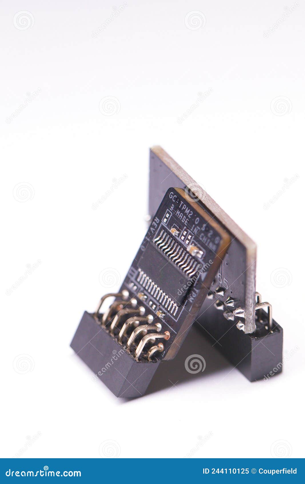 Couple of 12 and 20 Pin TPM Module Additional Chips Stock Image - Image ...