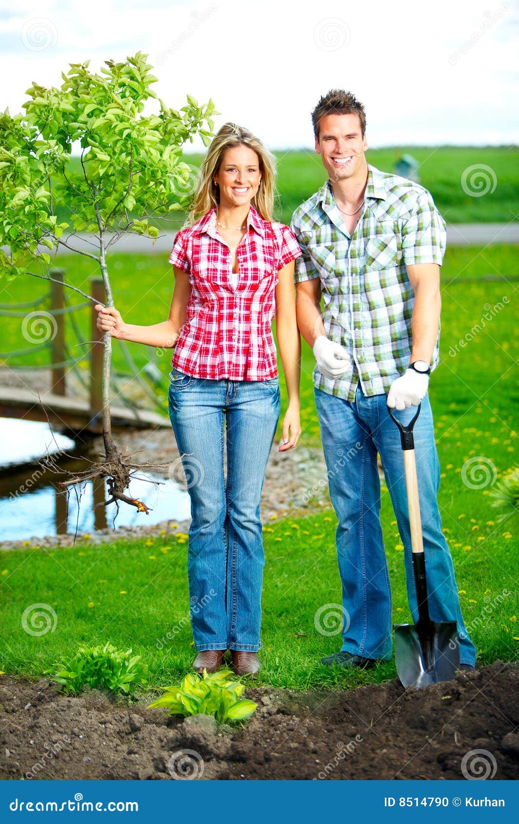 Couple planting a tree stock photo. Image of female, botany - 8514790