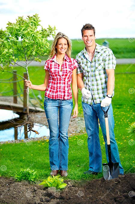 Couple planting a tree stock photo. Image of female, botany - 8514790