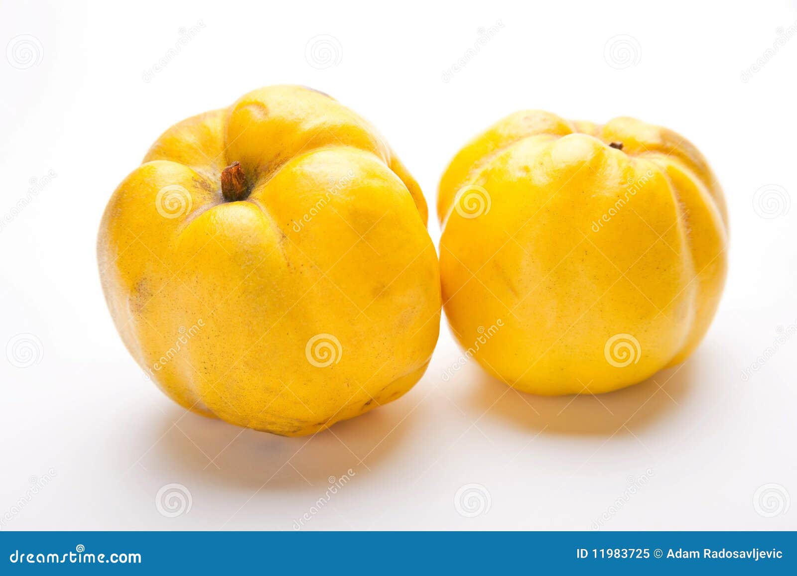 Quinces Royalty-Free Stock Photo | CartoonDealer.com #85374423