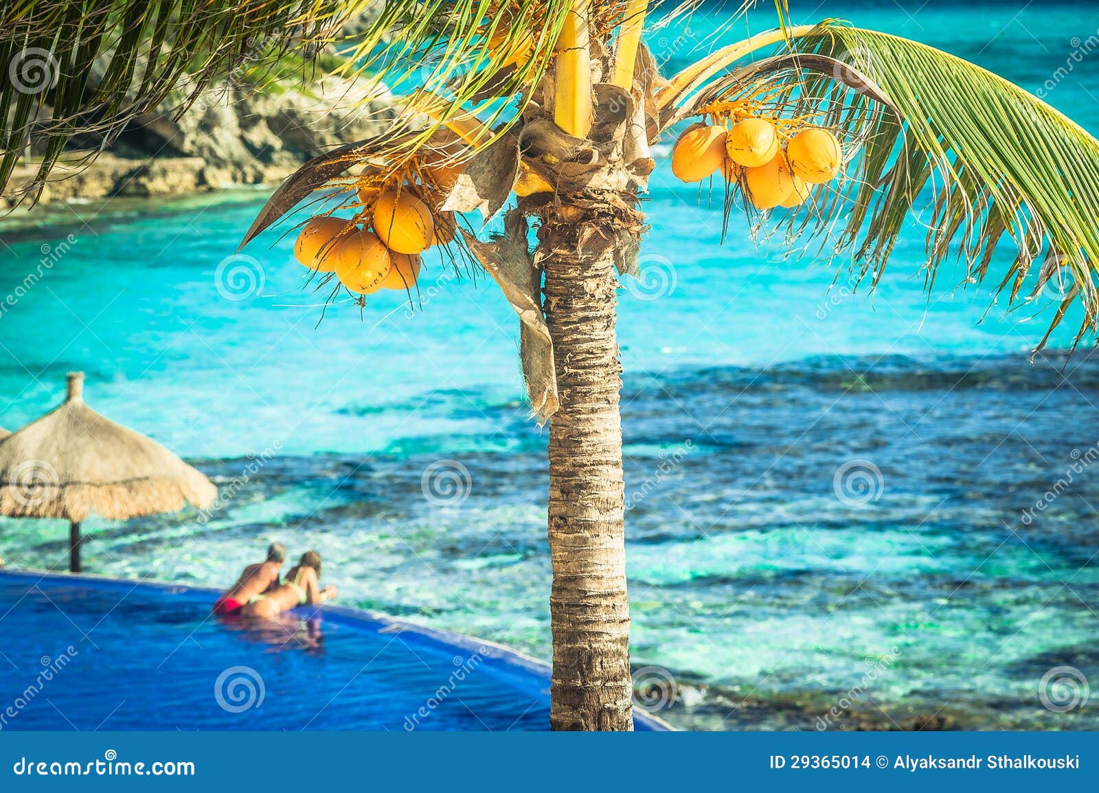 Couple Relaxing on Tropical Island Stock Photo - Image of leaf, people ...