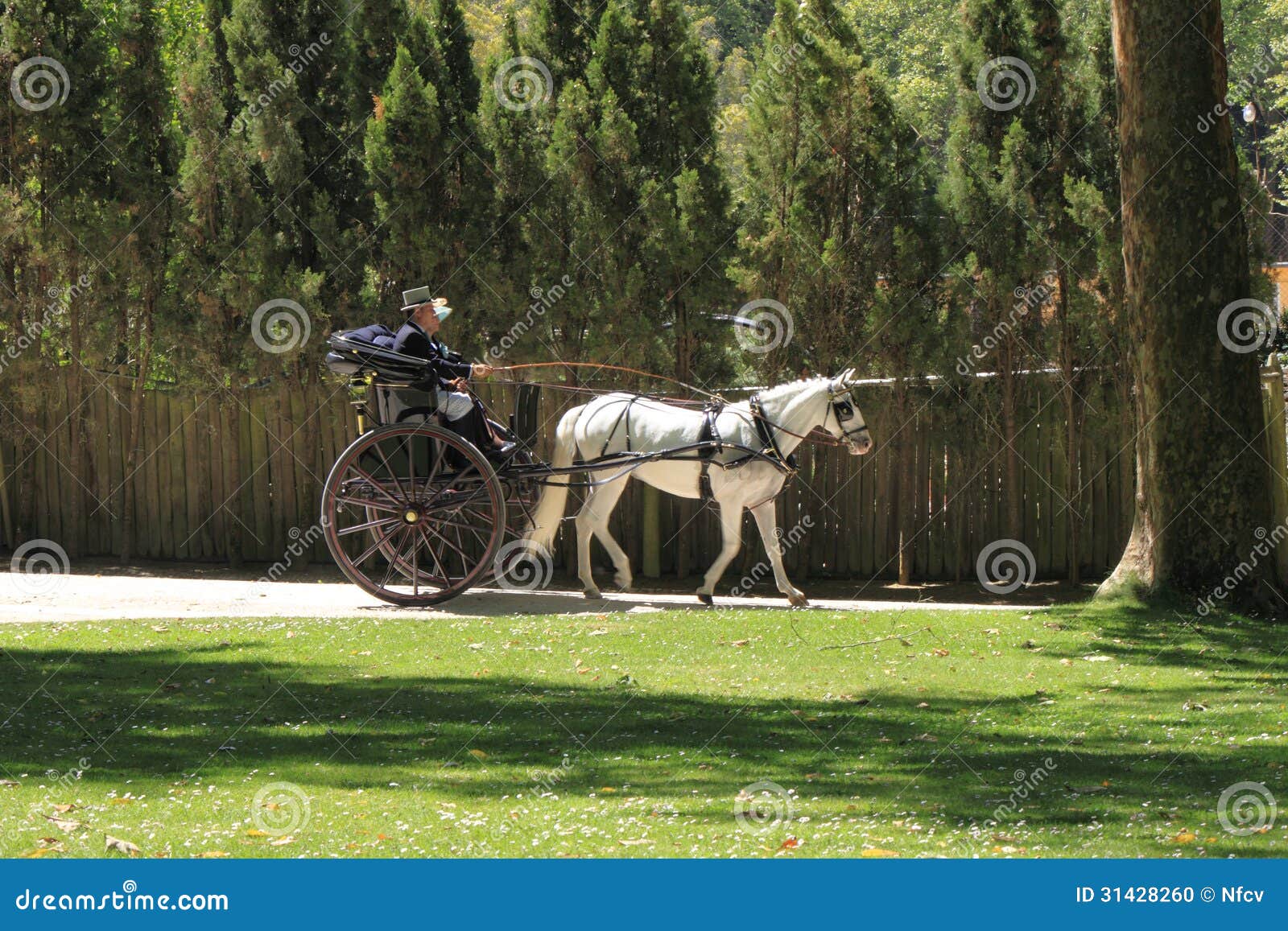 Couple Riding a Buggy in a Garden Editorial Image - Image of white ...