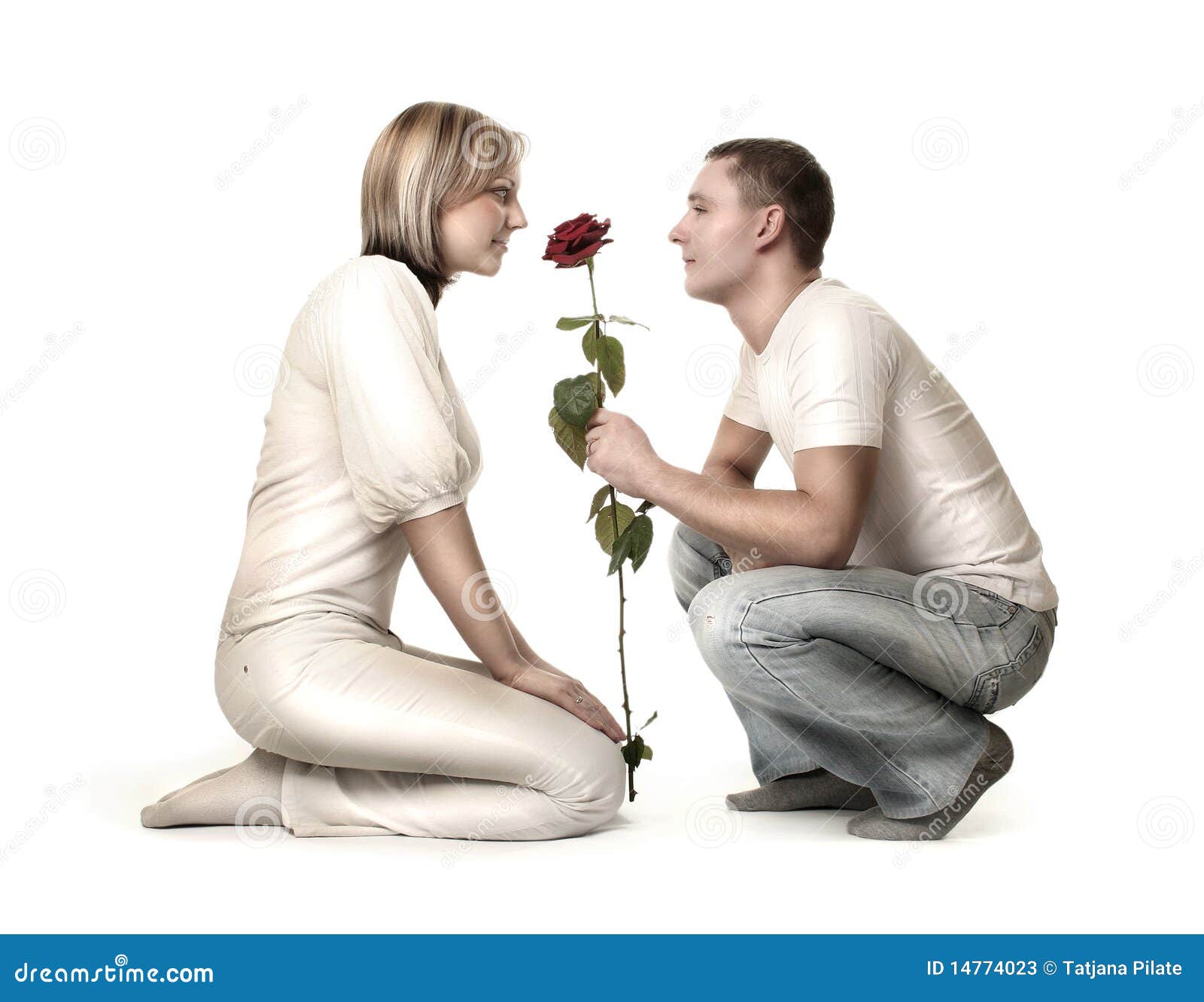 Couple and rose on white stock image. Image of gift, casual - 14774023