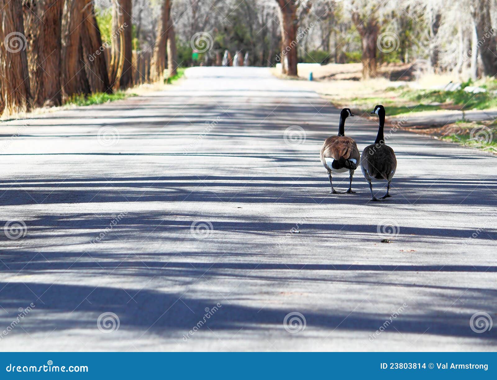 Couple's Sunday Morning Walk Picture. Image: 23803814