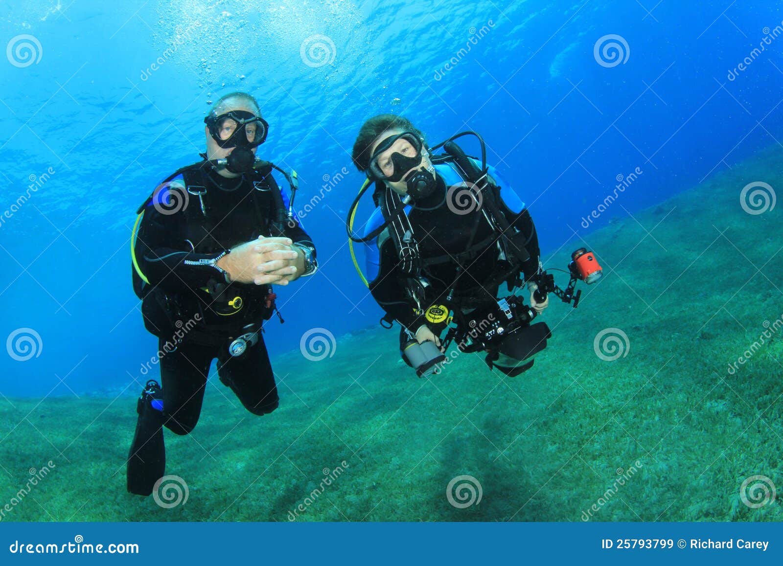 Couple Scuba Diving stock image. Image of blue, ocean - 25793799