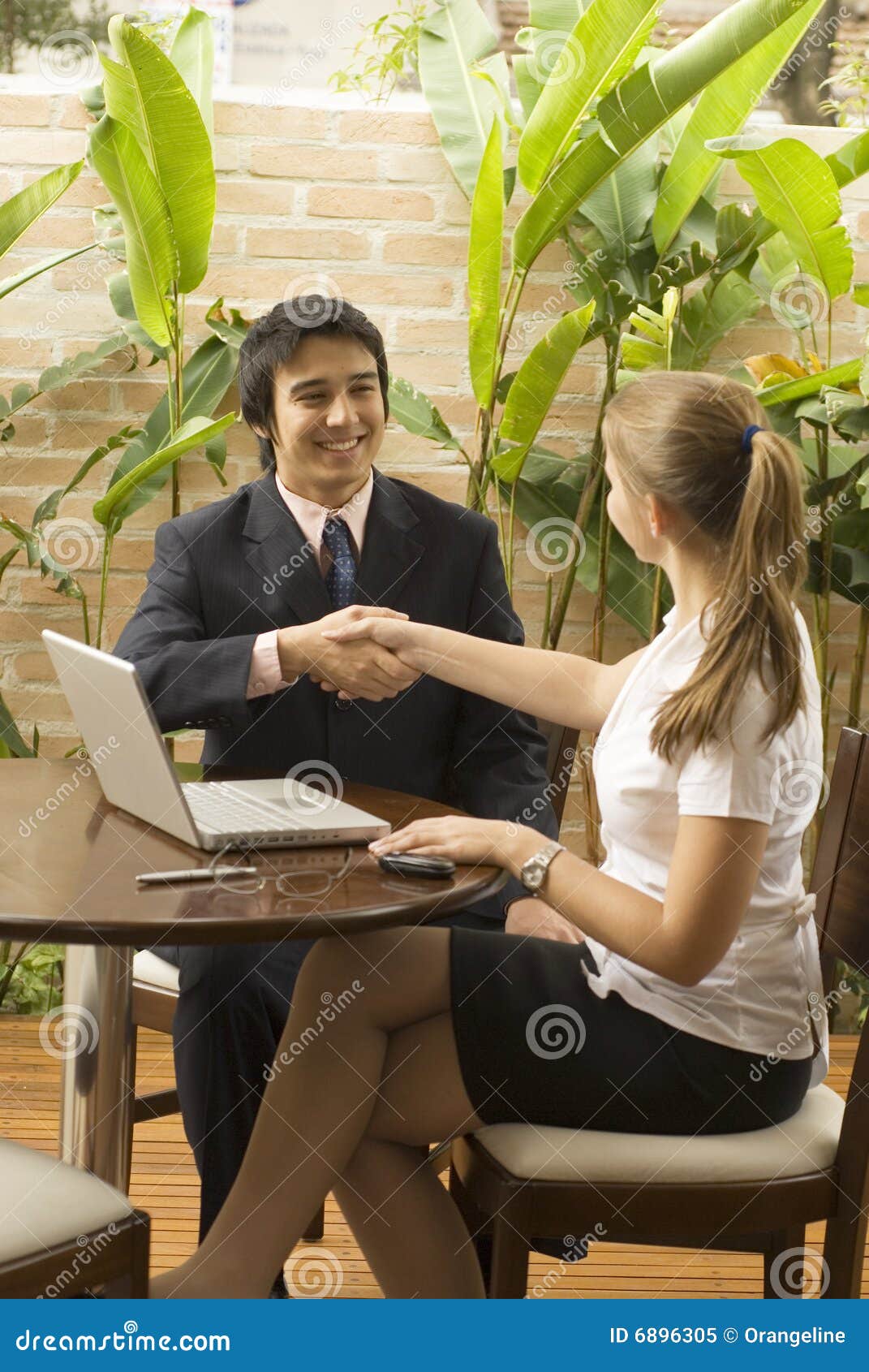 Couple Shake Hands stock image. Image of cheerful, happy - 6896305