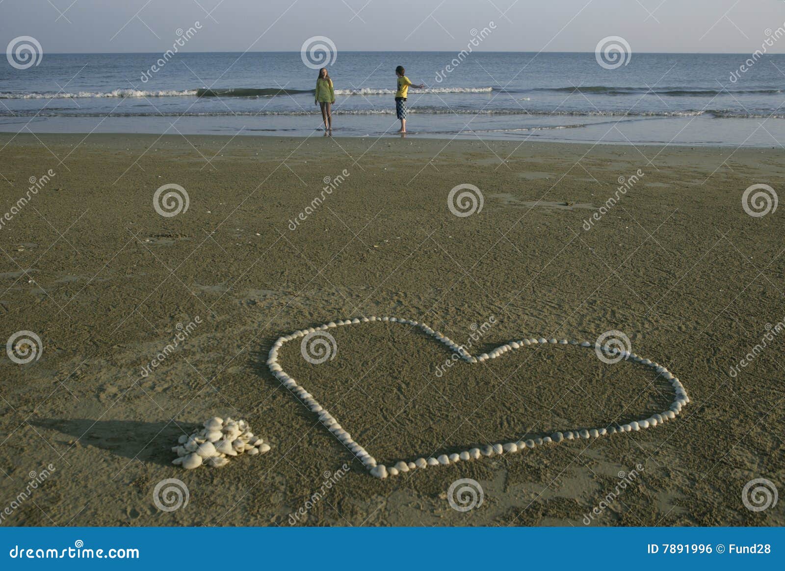 A couple with shell heart stock photo. Image of adults - 7891996