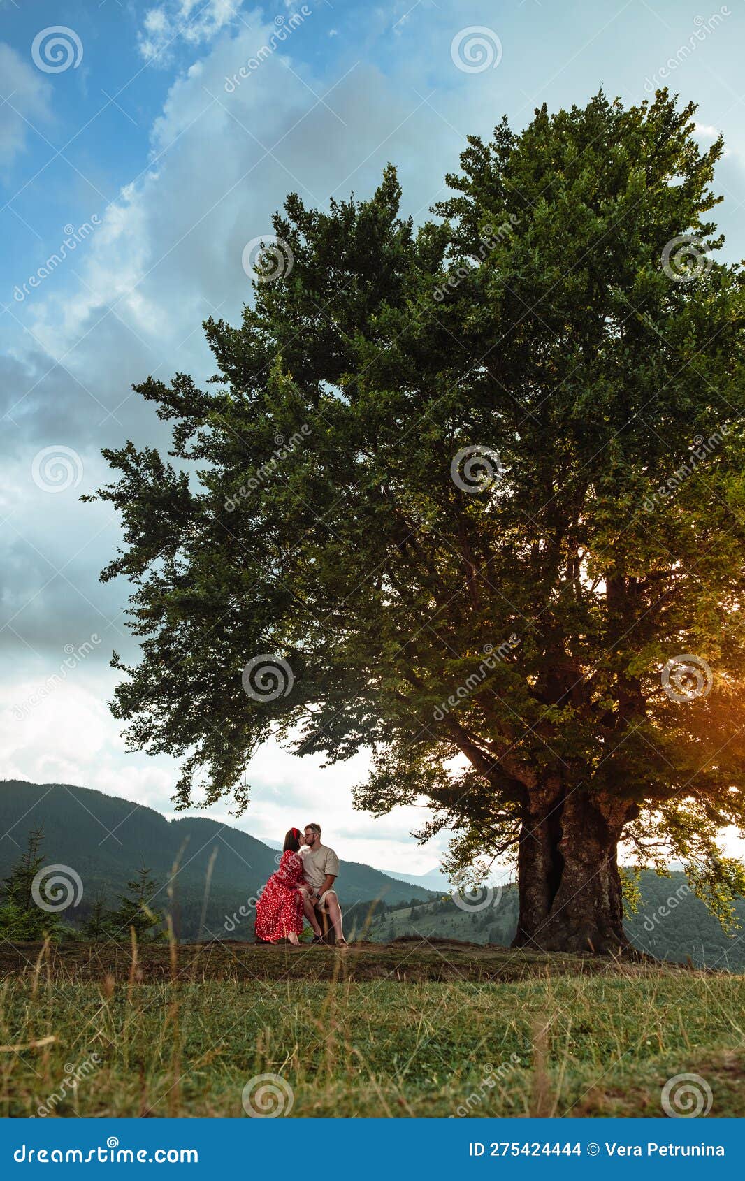 A Couple Sits on a Bench by a Big Old Beech Tree with a View of the ...