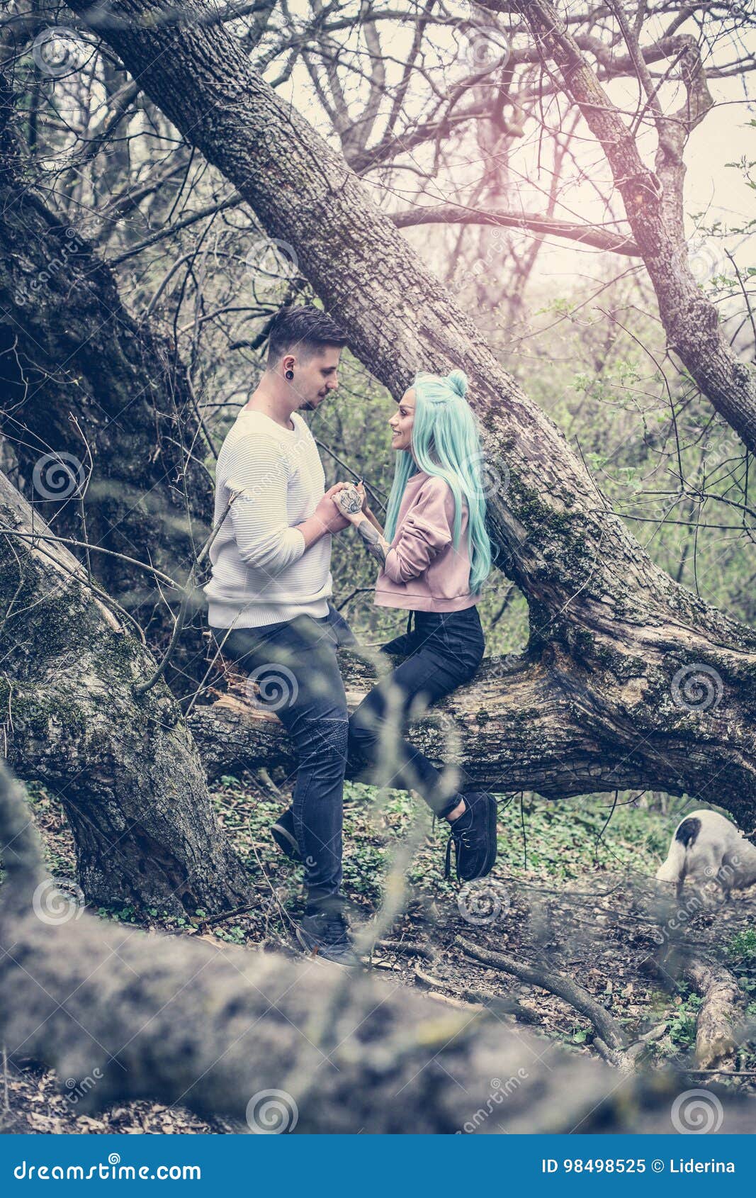 Couple Sitting on a Fallen Tree in a Forest. Stock Image - Image of ...