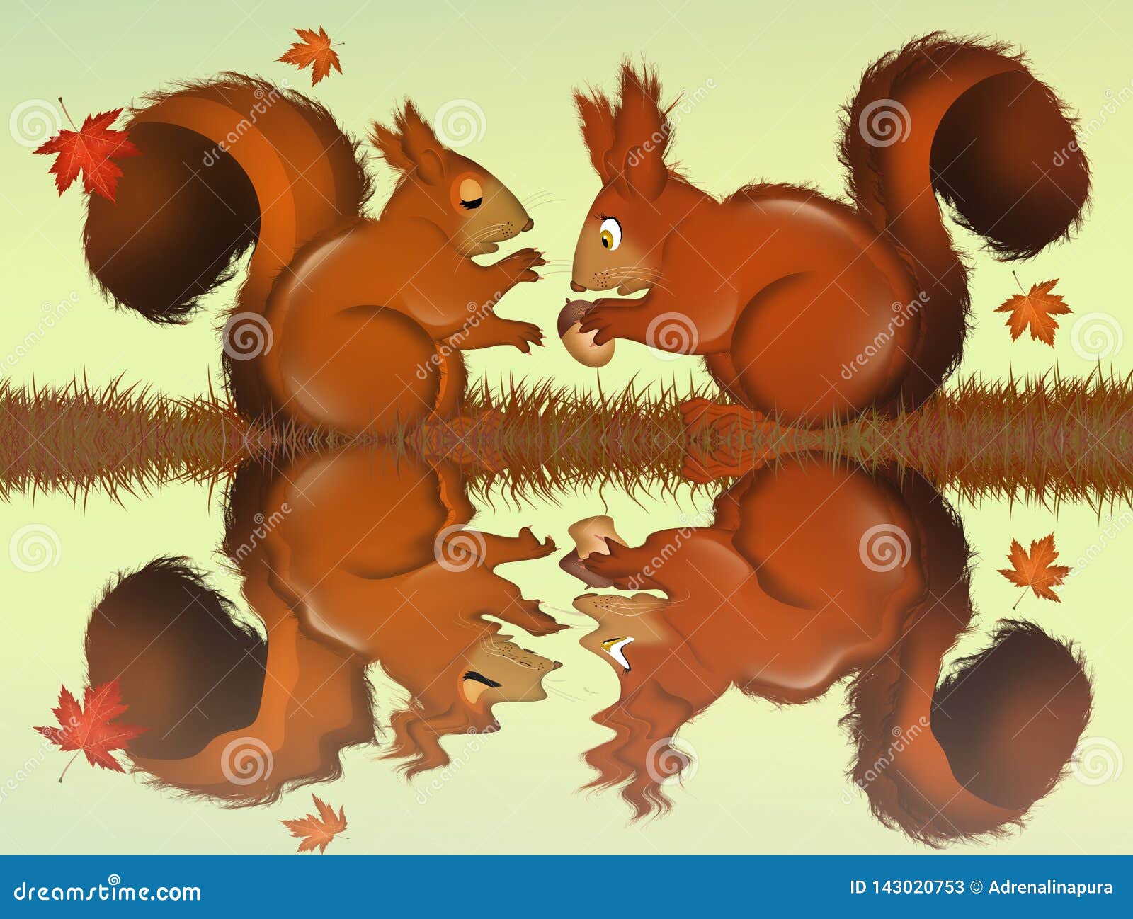 Couple of squirrels stock illustration. Illustration of animal - 143020753