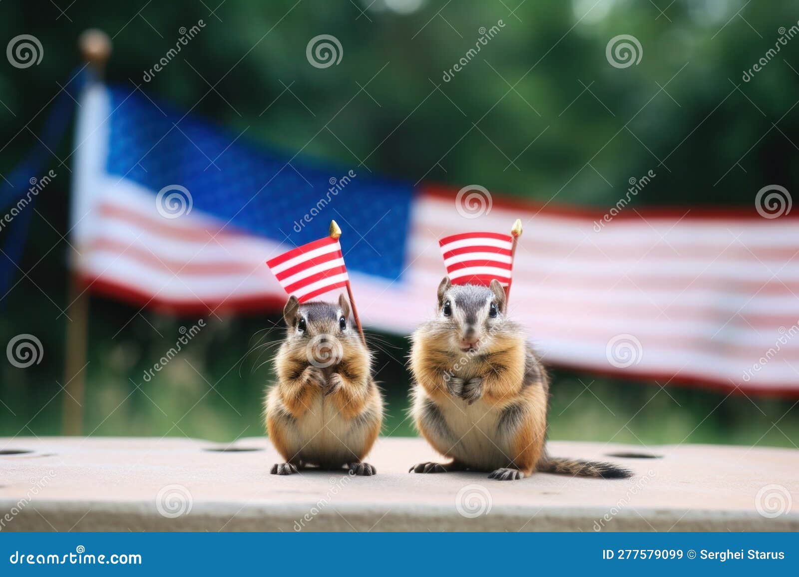 A Couple of Squirrels Holding American Flags on Top of a Table ...