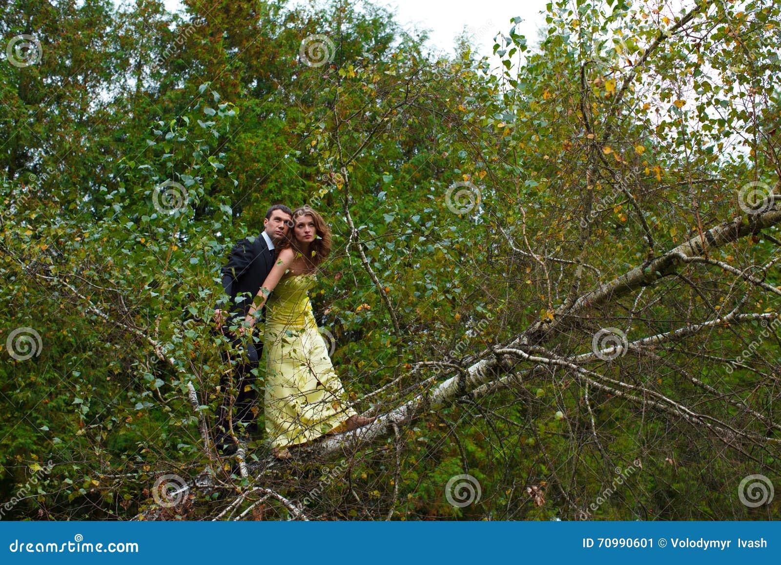 Couple Stands Carefully on the Tree S Branch Stock Image - Image of ...