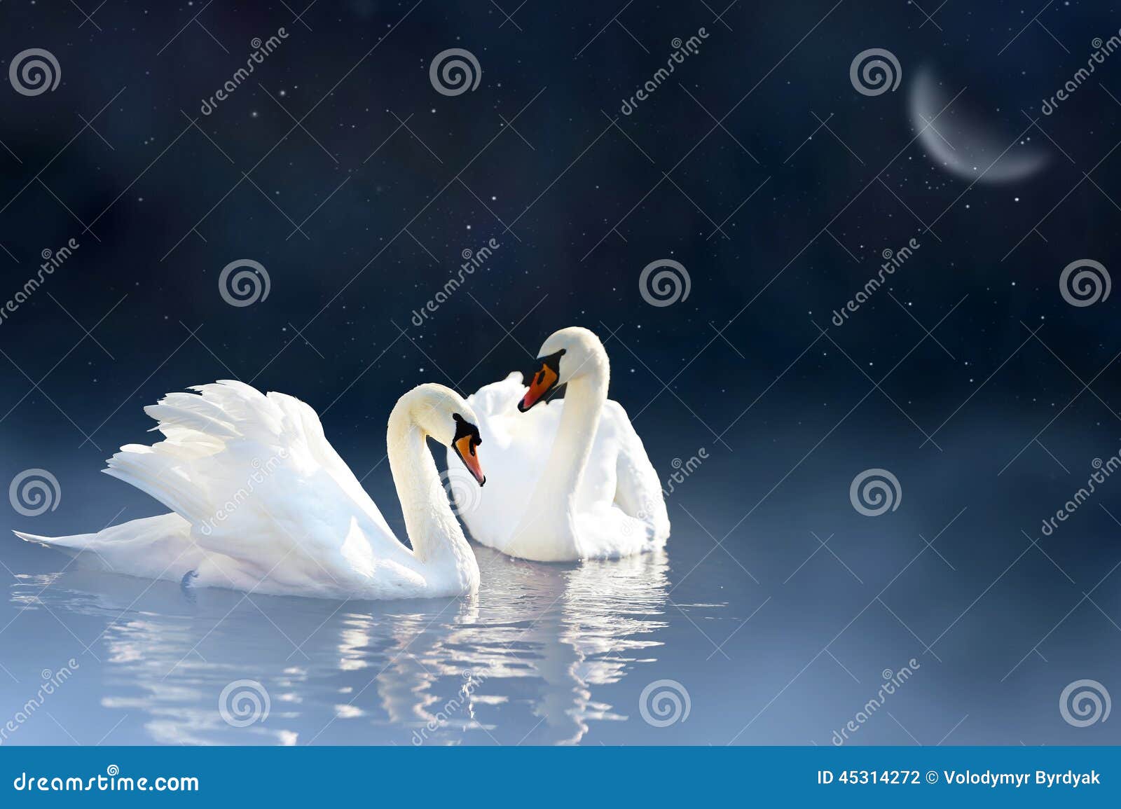 Swans In Love Moon