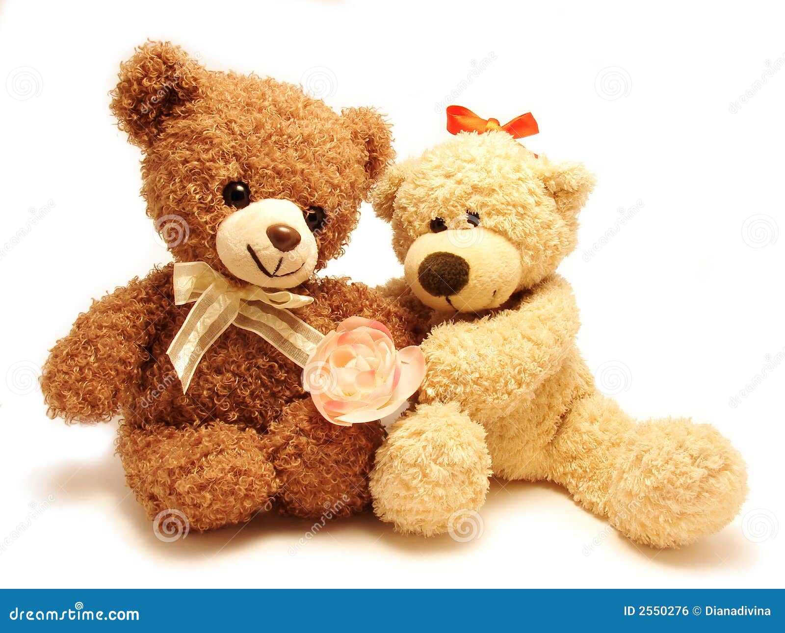 Couple of Teddy-bears & Rose Stock Photo - Image of cartoon, jovial ...