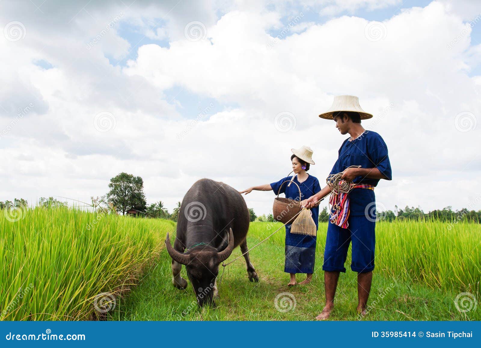 Couple Thai Farmers Family Happiness Time Buffalo Yoke Royalty-Free ...