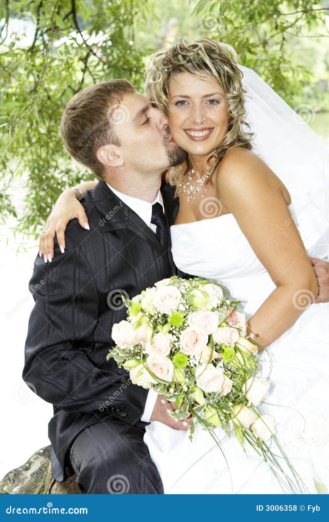Couple On Their Wedding Day Royalty Free Stock Photos - Image: 3006358