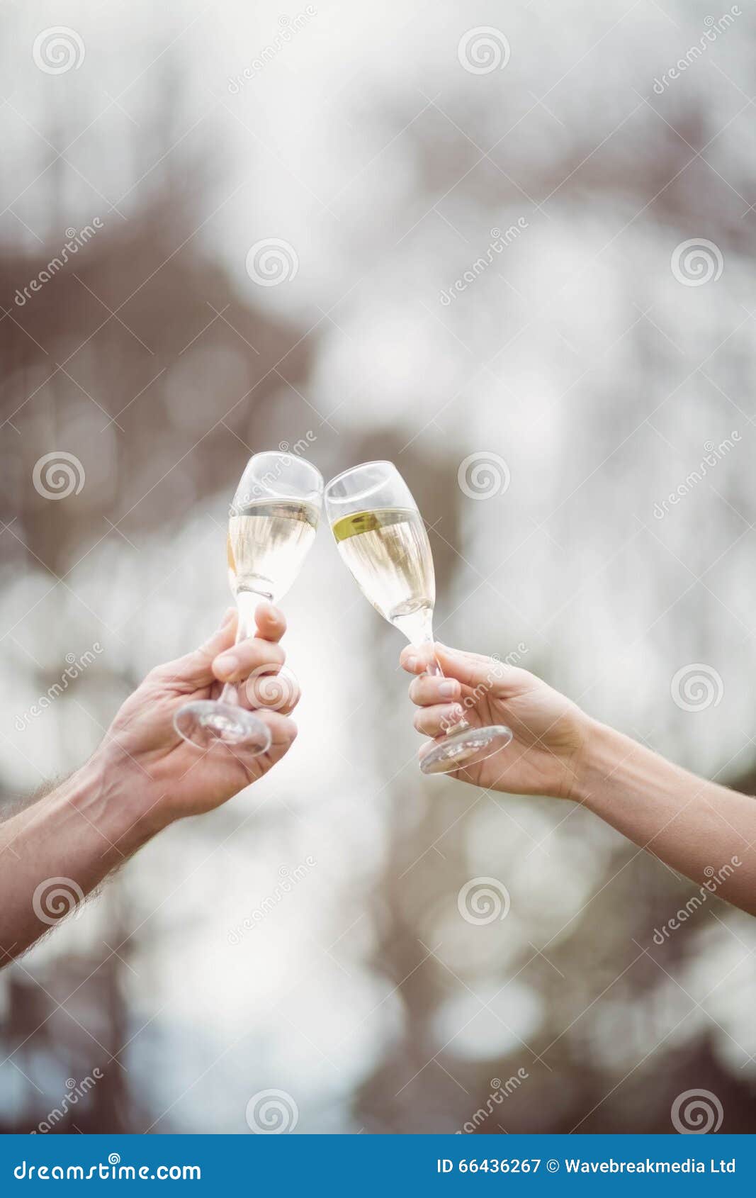 Couple Toasting with Champagne Stock Image - Image of comfort, adult ...