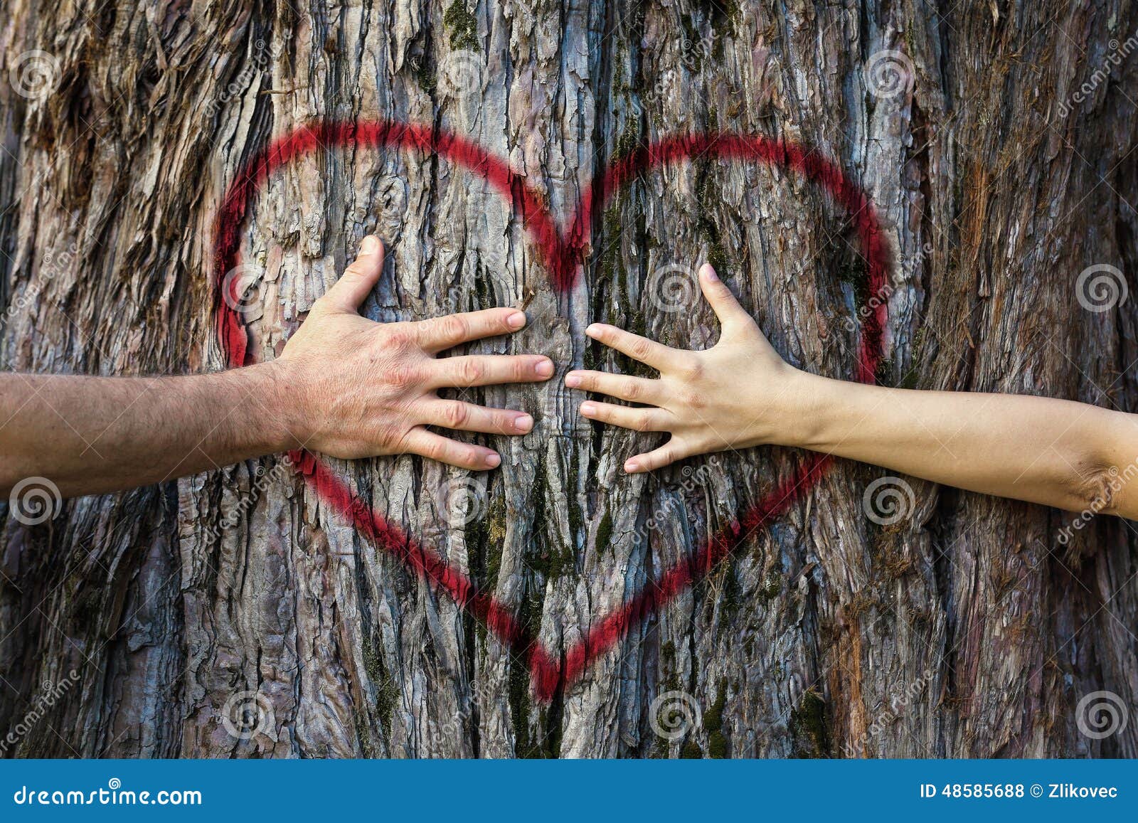 Couple touching heart stock photo. Image of energy, human - 48585688