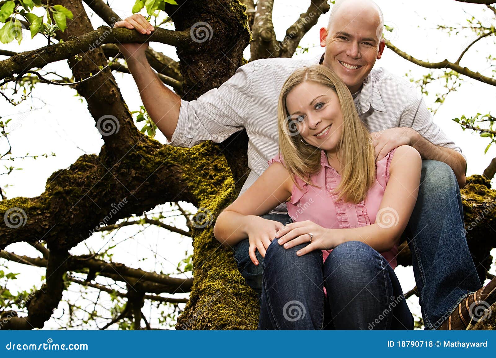 Couple in a tree stock photo. Image of outdoors, tree - 18790718