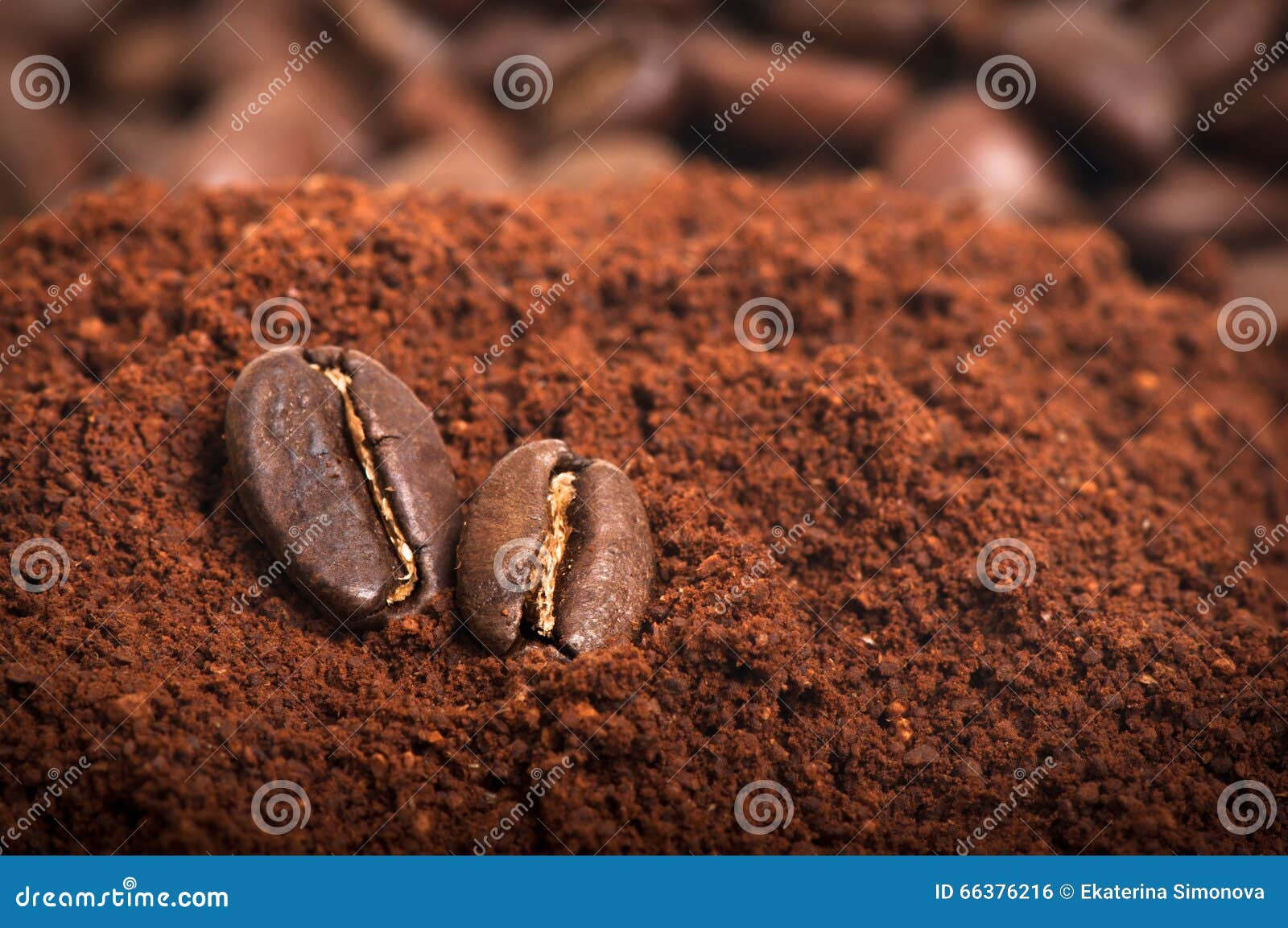 A Couple of Two Coffee Beans Stock Photo - Image of ingredient, coffe ...