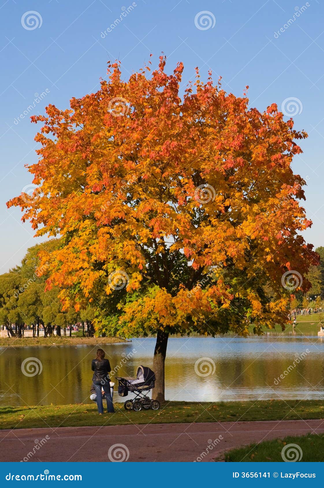 A Couple Under the Autumn Tree Stock Image - Image of fall, group: 3656141