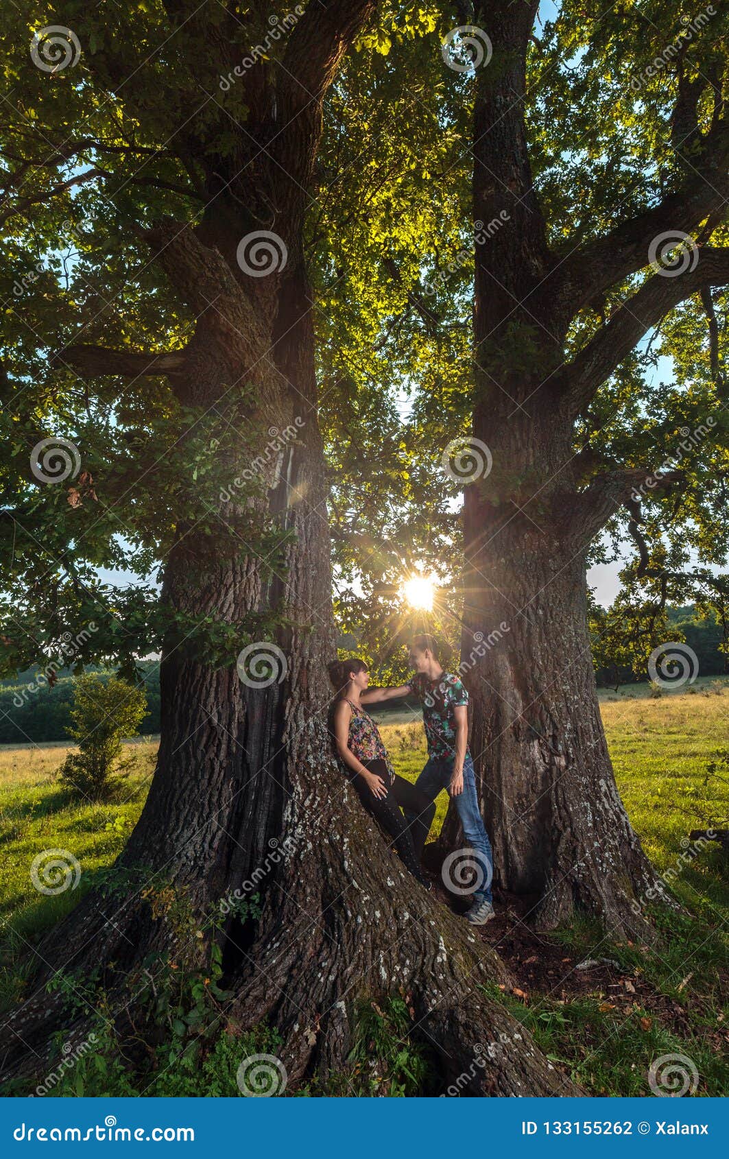 Couple under big oak tree stock photo. Image of couple - 133155262