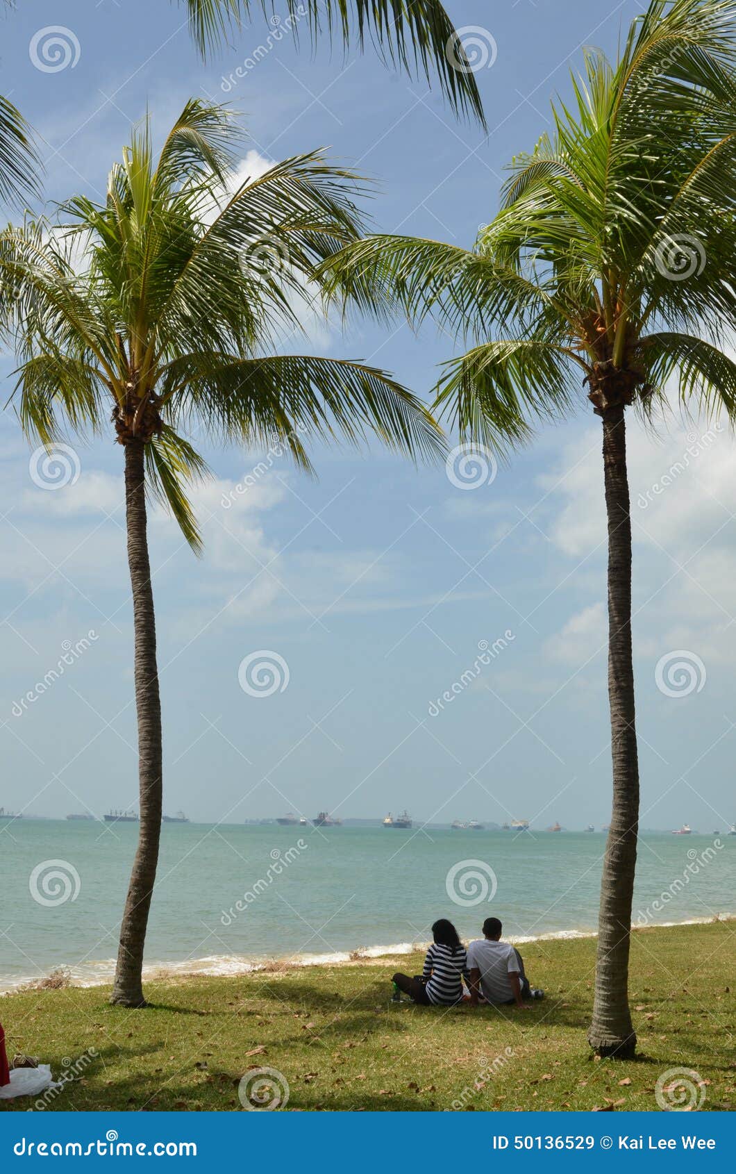 Couple Under 2 Palm Trees Stock Image Image Of Romantic 50136529