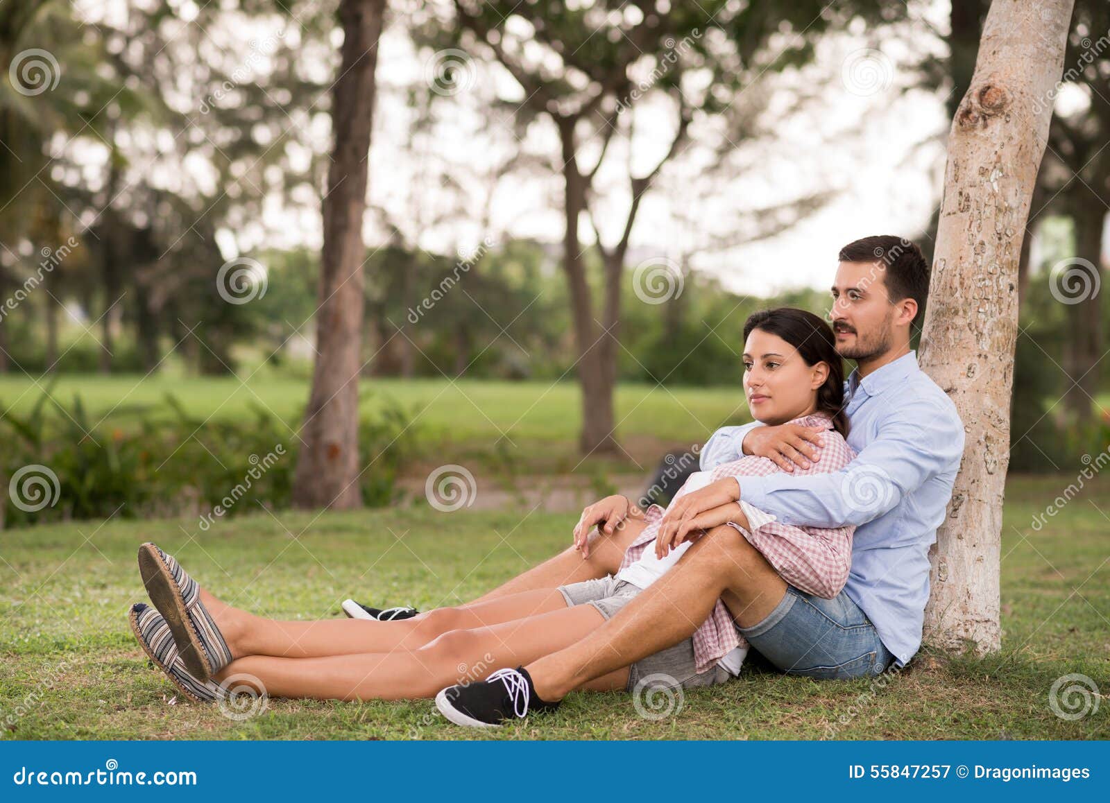 Couple under the tree stock image. Image of sitting, dating - 55847257