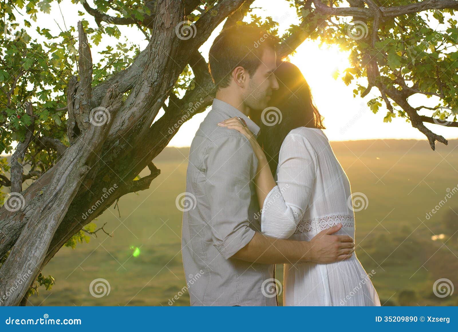 Couple Under Tree at Summer Day Stock Photo - Image of kiss ...