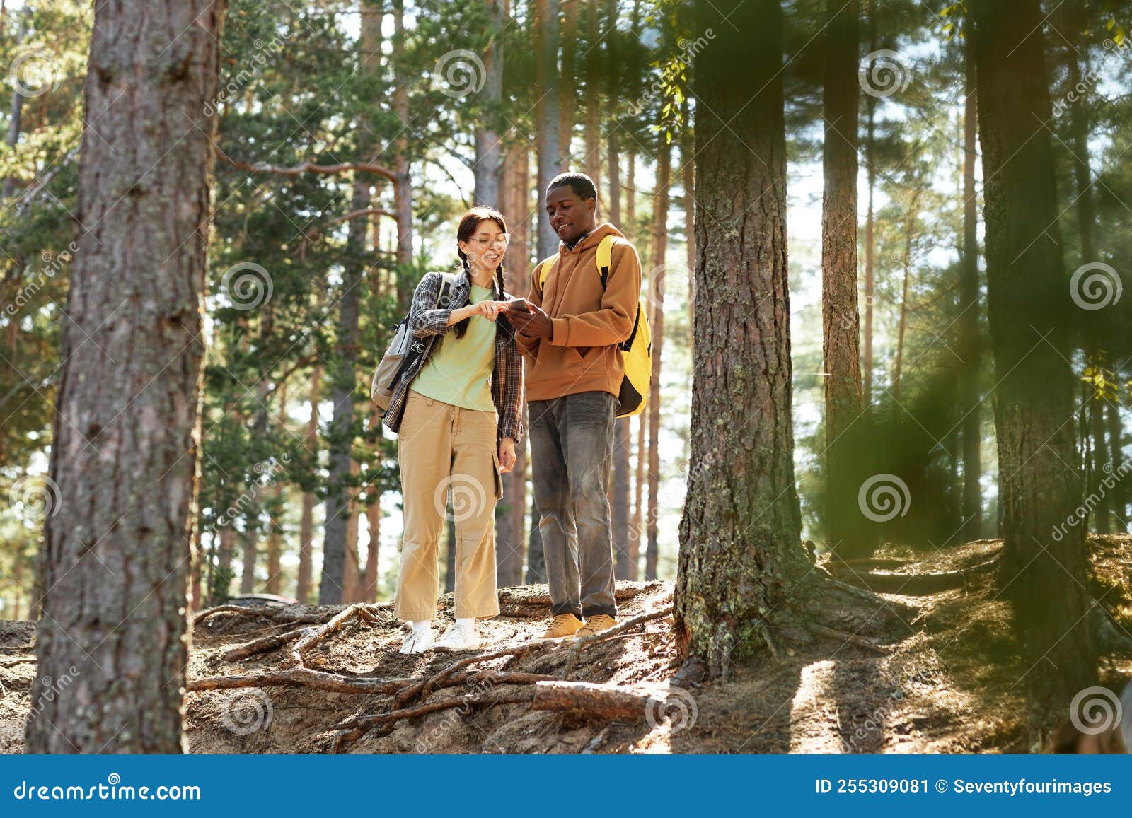 Couple Using Mobile Phone in Nature Stock Image - Image of adventure ...