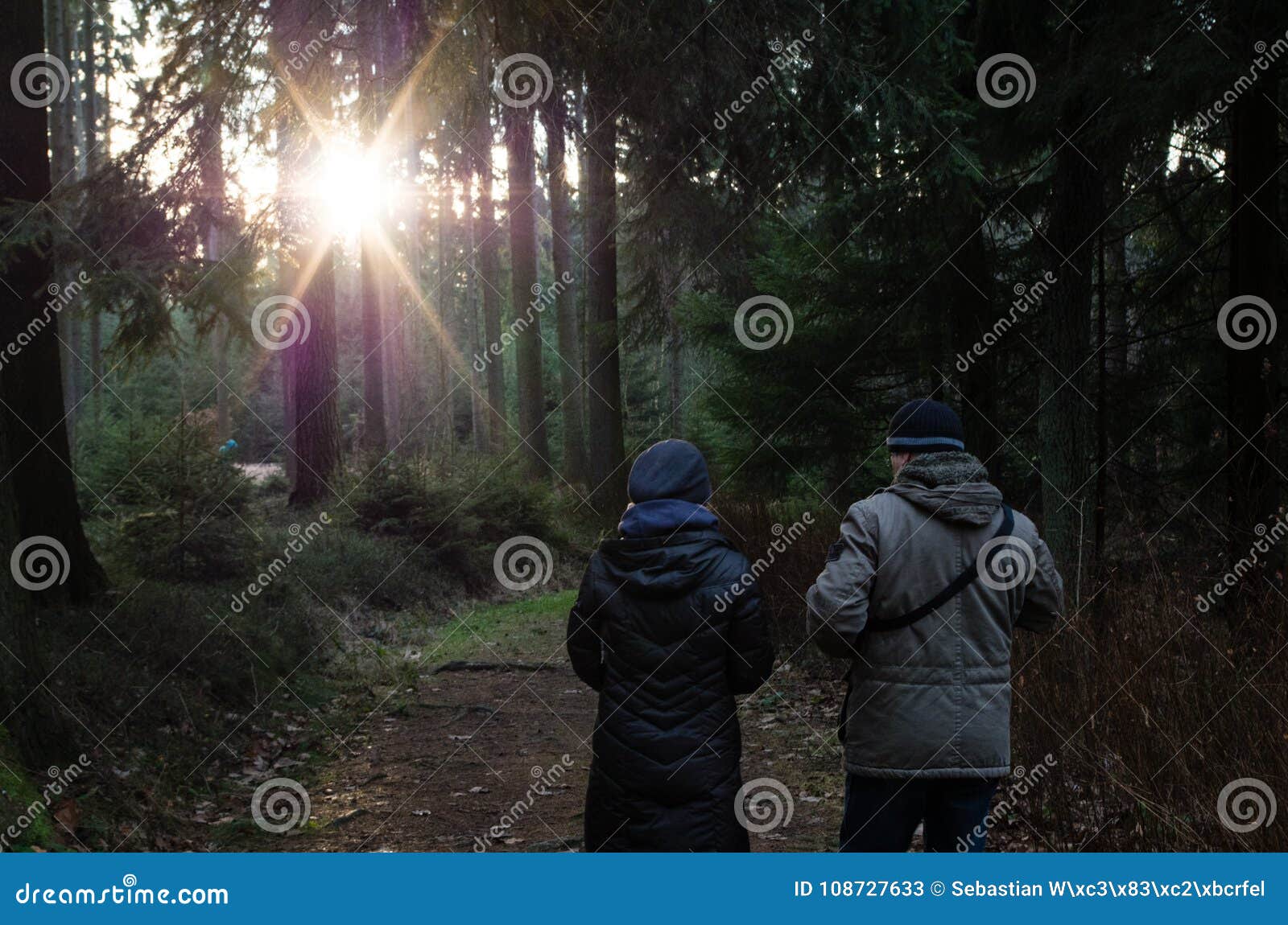 Couple Walking in the Forest and Talking To Each Other Editorial Stock ...