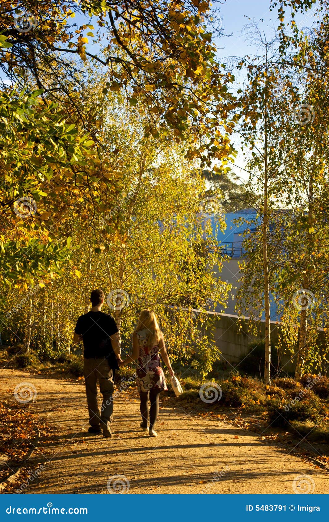 Couple Walking Hand in Hand in Autumn Stock Image - Image of walking ...
