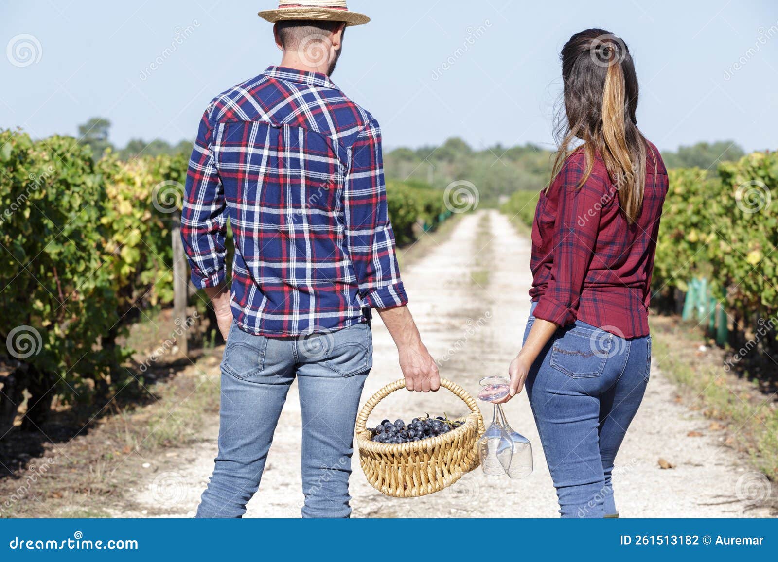 Couple Walking in between Rows Vines Stock Photo - Image of ...