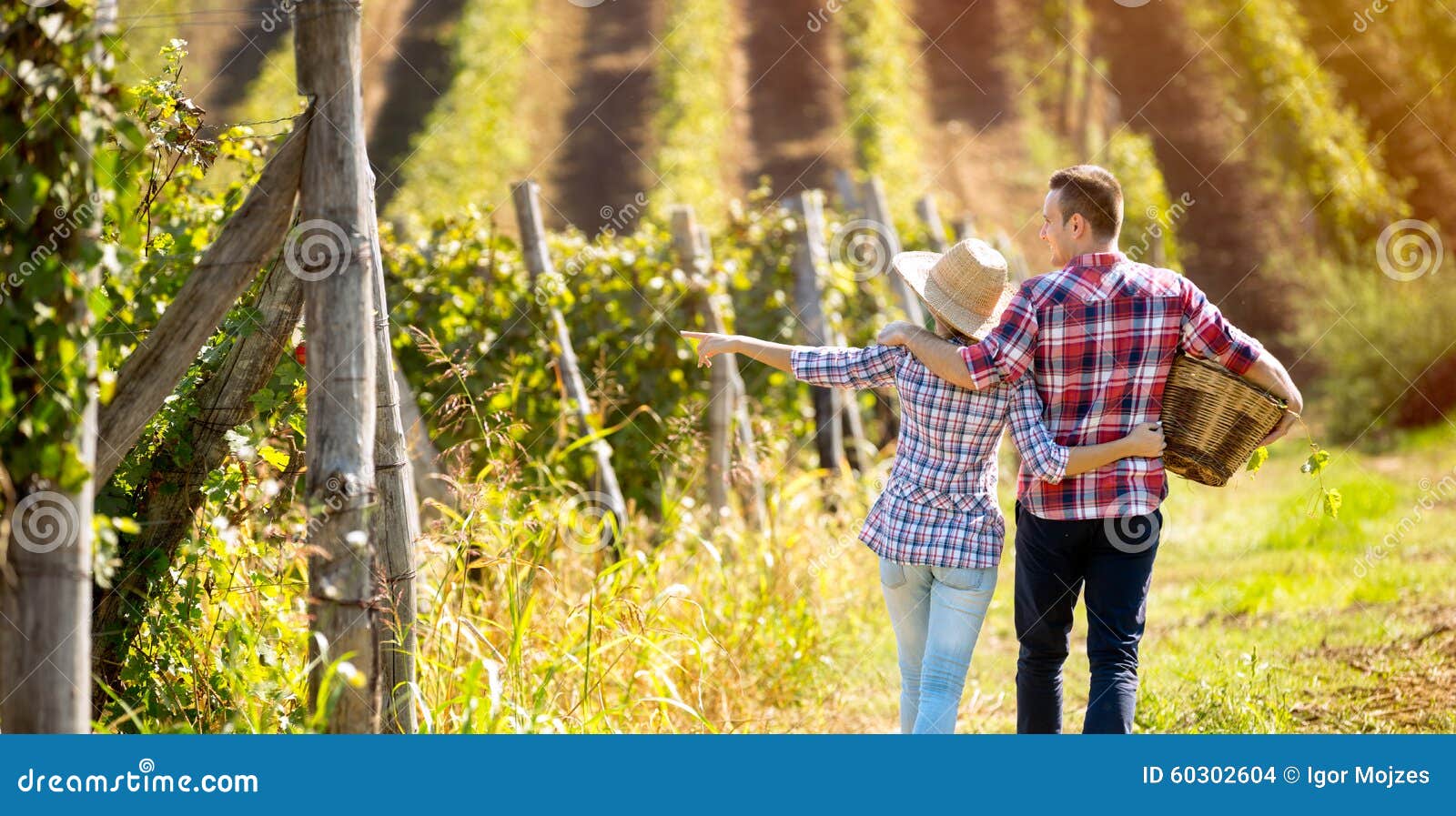 Couple Walking in between Rows of Vines Stock Photo - Image of ...
