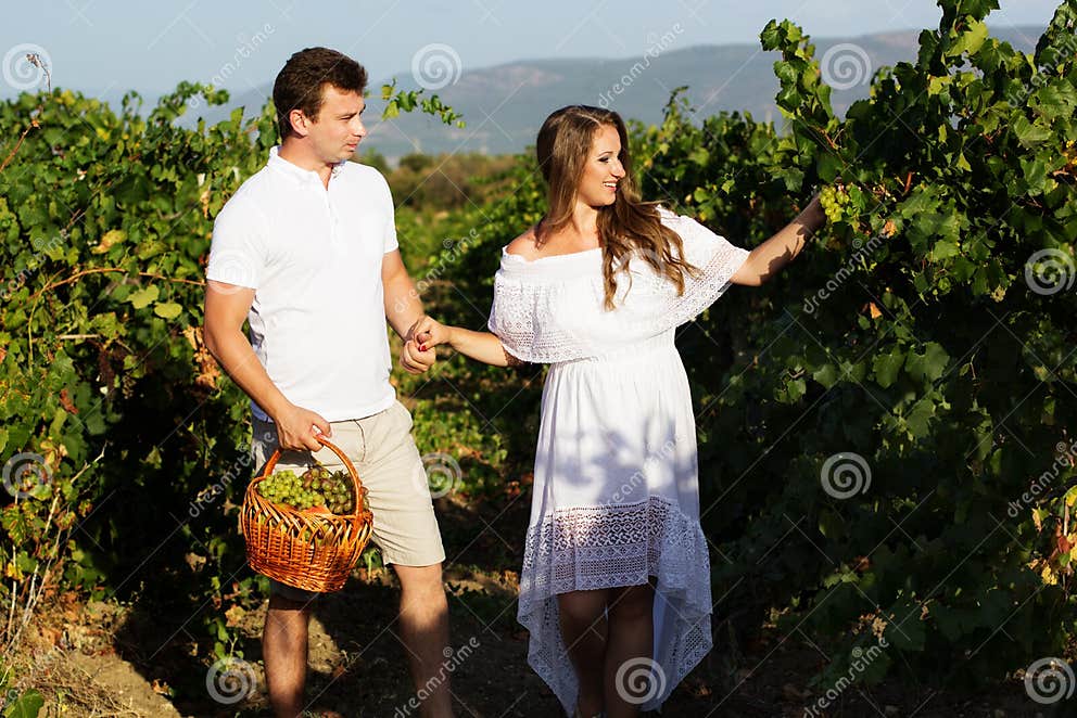 Couple Walking in between Rows of Vines Stock Photo - Image of ...