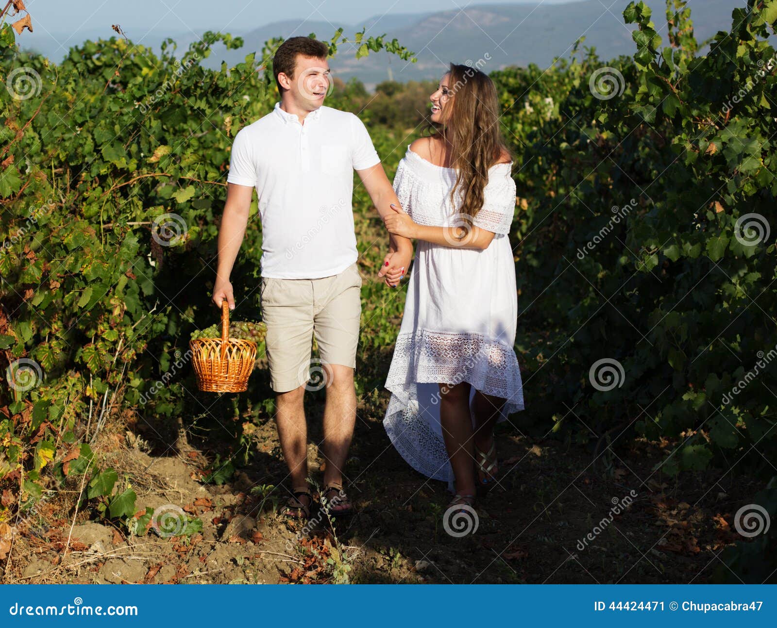 Couple Walking in between Rows of Vines Stock Image - Image of business ...