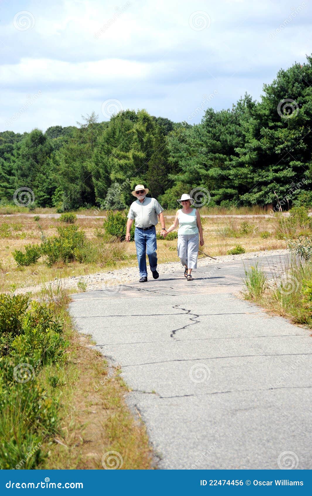 Couple walking together. stock photo. Image of lifestyle - 22474456