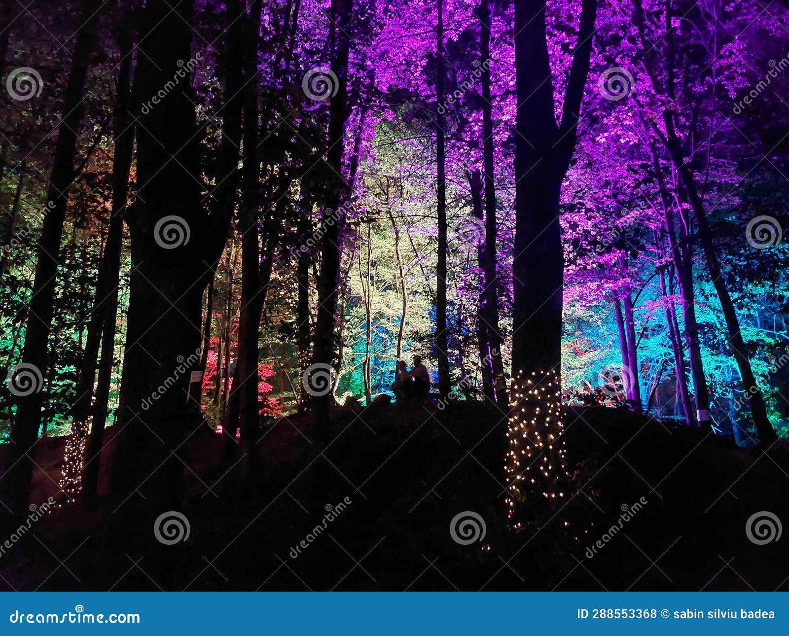 A Psychedelic Forest Scene With Exaggerated Colors, Layered Tree ...