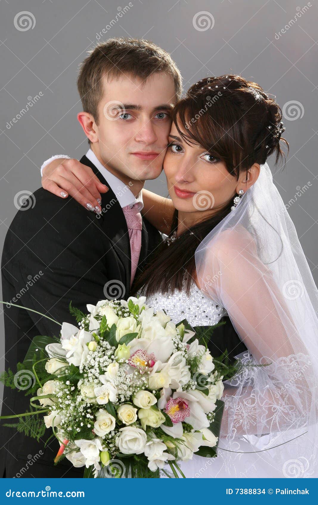 Couple wedding portrait stock photo. Image of married - 7388834