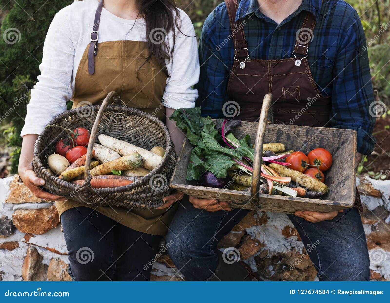Couple Working Together at a Farm Stock Photo - Image of male, farm ...