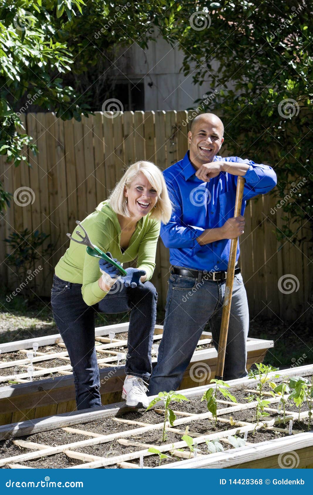 Couple Working on Vegetable Garden in Backyard Stock Photo - Image of ...