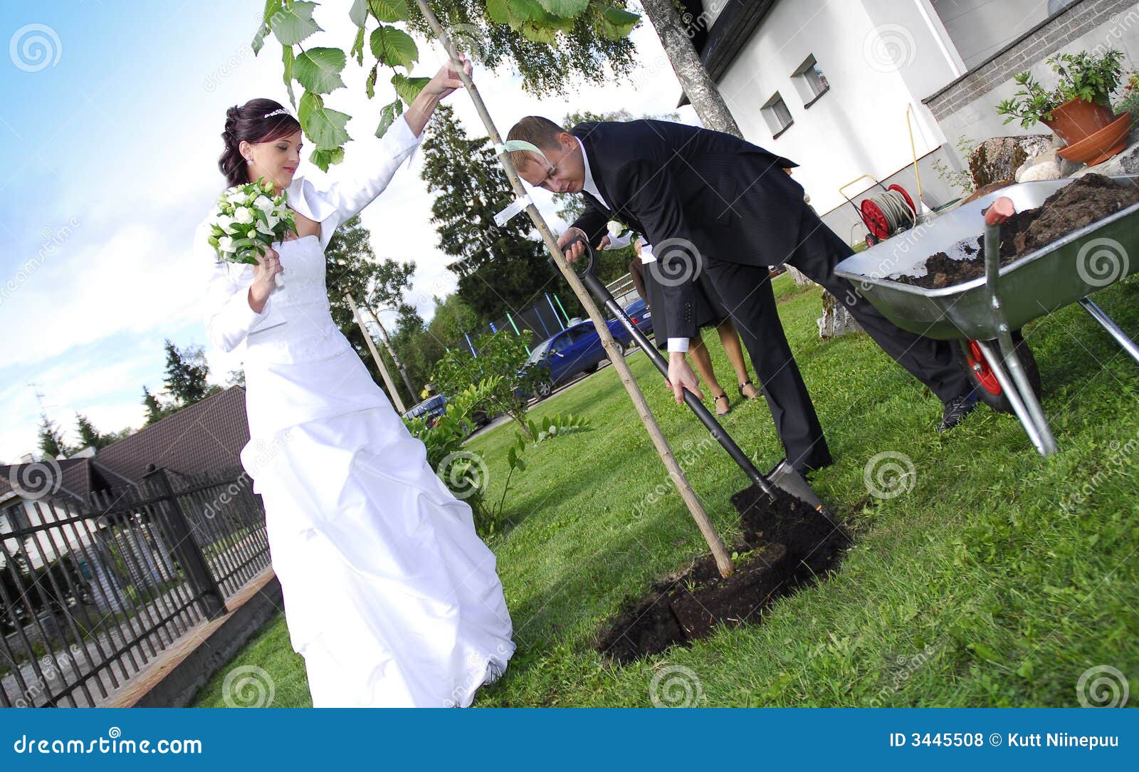 Couples De Mariage Plantant L'arbre Photo stock - Image du culturel ...