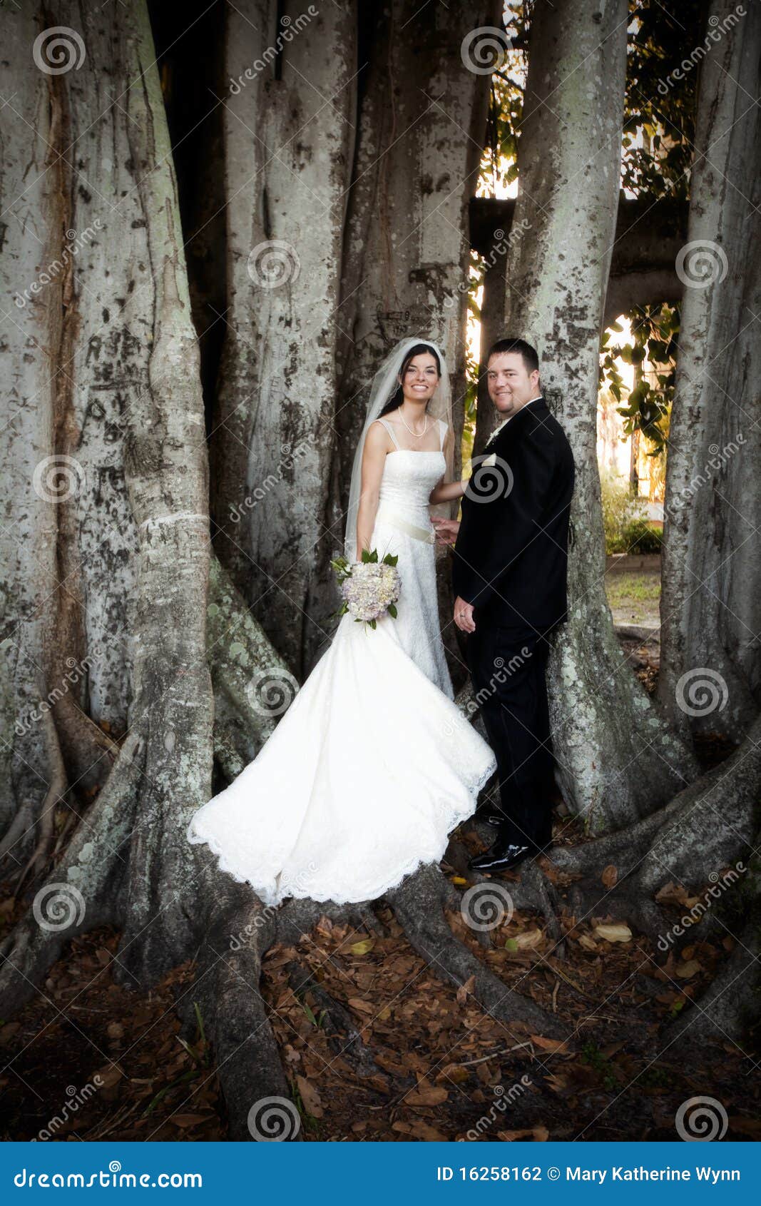 Couples De Mariage Sous L'arbre Photo stock - Image du beau, mariage ...