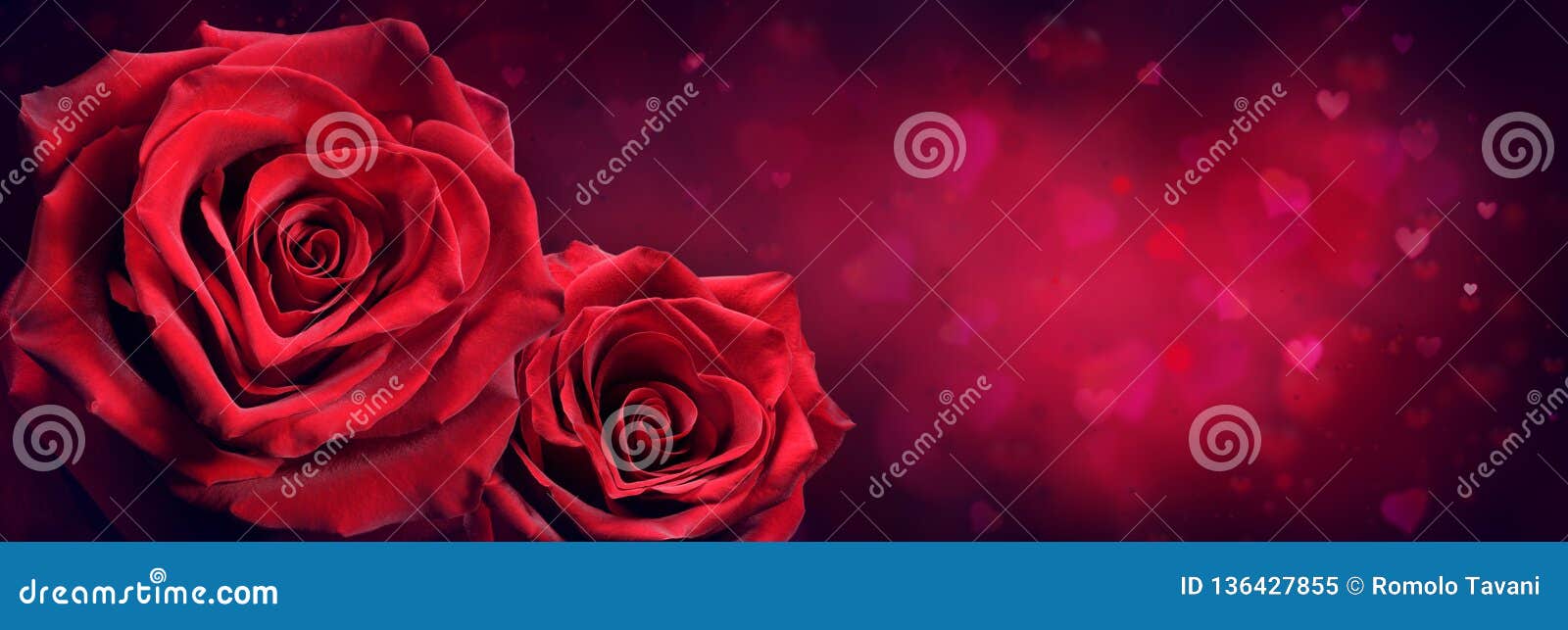 Couples Des Roses Rouges Dans La Forme De Coeur Illustration Stock ...