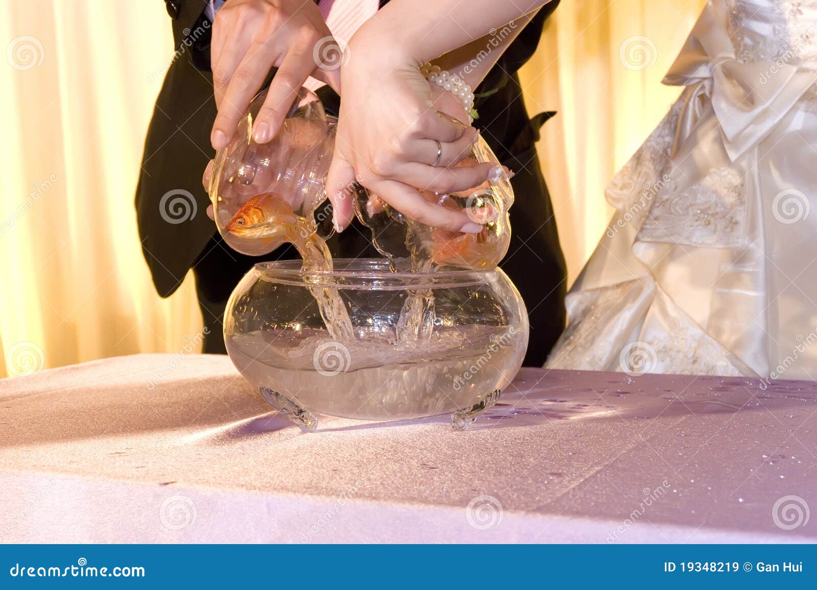 Couples Put Goldfish into Fish Crock Stock Image - Image of gold, water ...