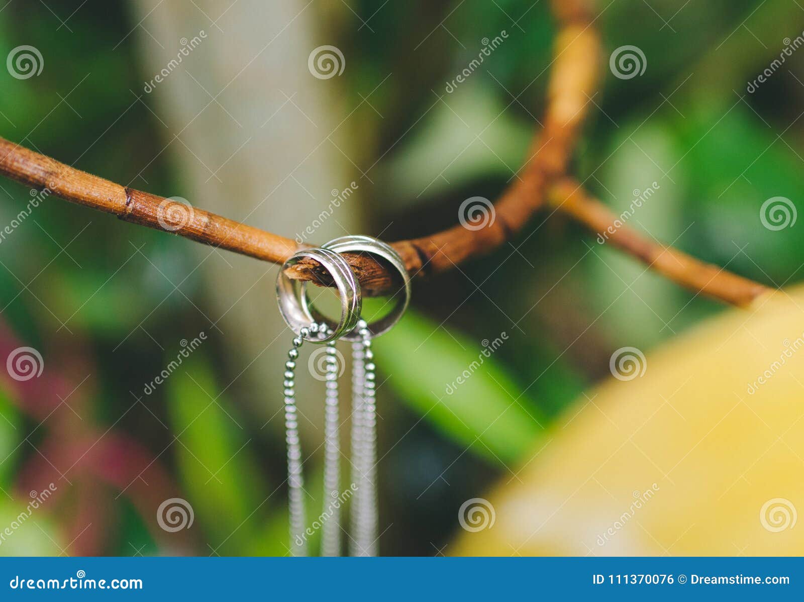 Couples Ring Hanging in a Branch Stock Photo - Image of love, girl ...