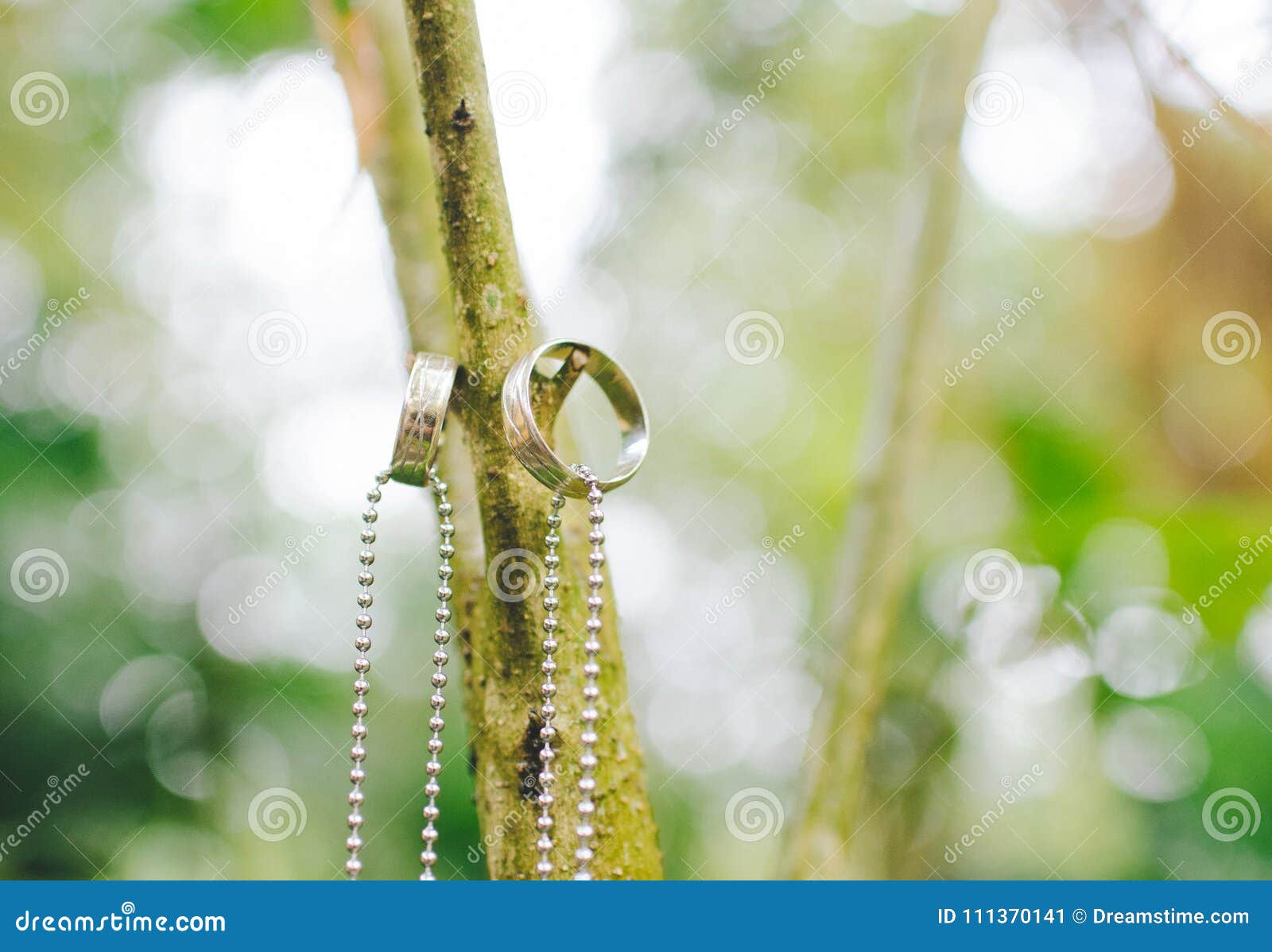 Couples Ring Hanging in a Branch Stock Image - Image of basket ...