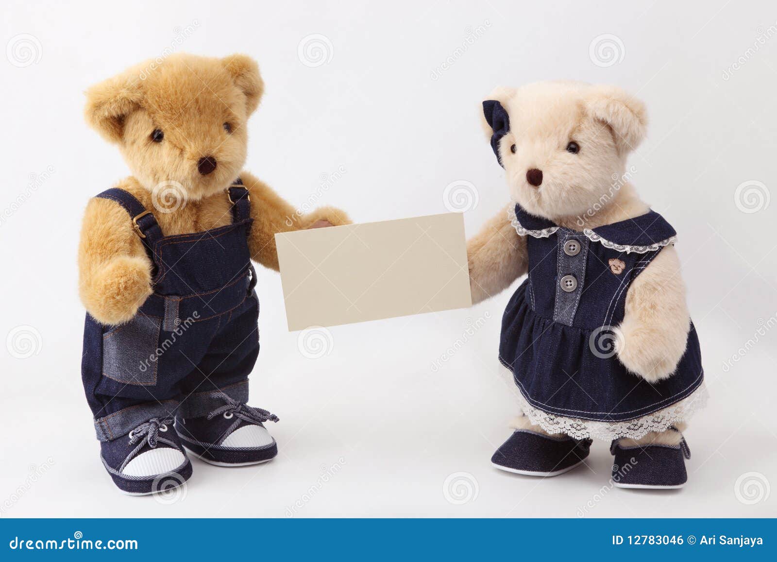 Couples teddy bear stock photo. Image of love, massage - 12783046