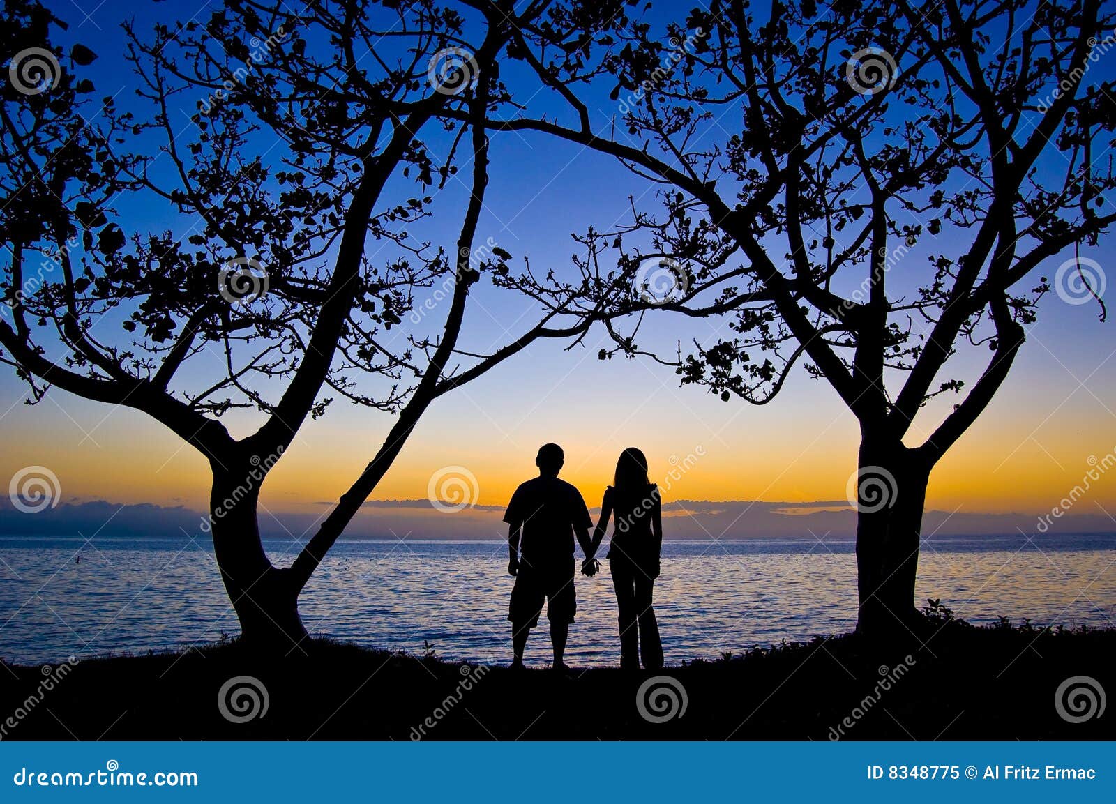 Couples Under the Tree at Sunset Stock Image - Image of tree, landscape ...