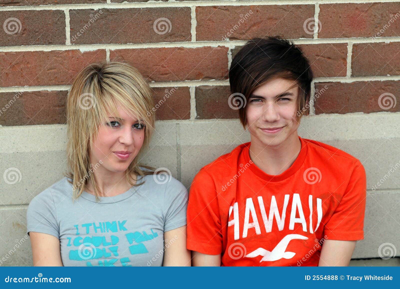 Couplet stock photo. Image of models, handsome, attractive - 2554888